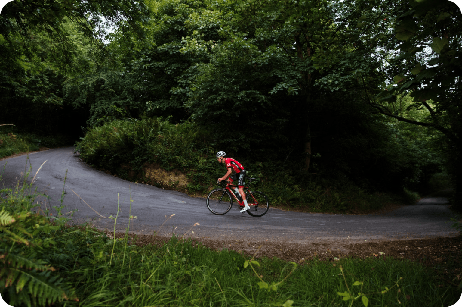 Triathlon Bike Types: Road, Time Trial, or Tri | TriWorldHub
